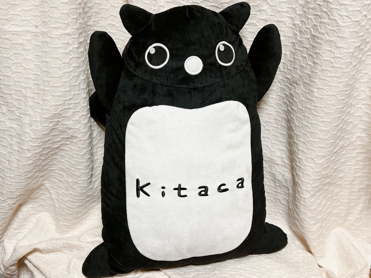 【目立った傷や汚れなし】JR北海道 kitaca エゾモモンガ ぬいぐるみ ハグハグぐるみ M キタカ 大きい ビッグ BIG キャラクター ...