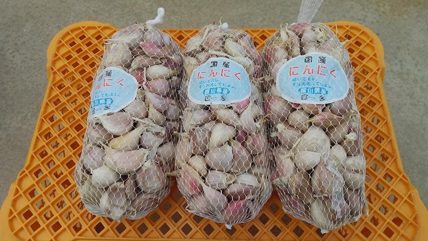 【未使用】農家直送 R5年香川県産 乾燥ニンニク 大粒(L～2L) バラ 3kgの落札情報詳細 - ヤフオク落札価格検索 オークフリー