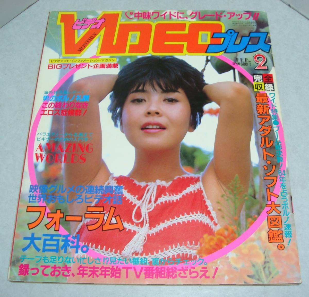 【やや傷や汚れあり】A8 ビデオプレス 1984年2月号 松田聖子 河合奈保子 柏原芳恵 岡田奈々 風かおる 少女M 田中みお 山添みづき 80年代アイドル 水泳大会の落札情報詳細 ...