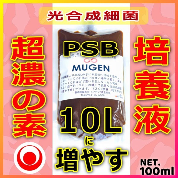 【未使用】★100ml→PSB10Lに ☆自分でふやしてPSBをたっぷり使う！濃縮光合成細菌の培養餌料、培基（検索用：針子エサ,20L,18L,素,培養液,増やすの落札情報詳細 - ヤフオク ...
