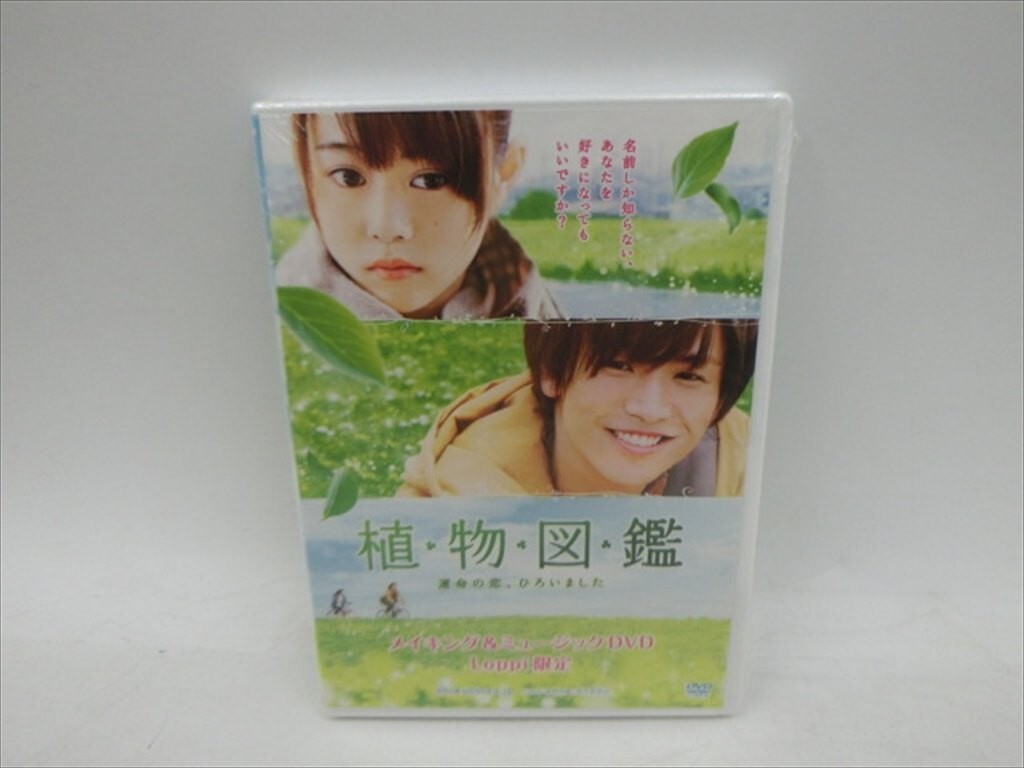 【未使用】MD【V06-134】【送料無料】未開封/植物図鑑 運命の恋、ひろいました メイキング＆ミュージックDVD/岩田剛典/高畑充希/邦画の落札情報詳細 - ヤフオク落札価格検索 オークフリー