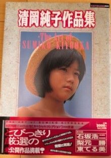 【目立った傷や汚れなし】清岡純子作品集 “The Art of SUMIKO KIYOOKA”の落札情報詳細 - Yahoo!オークション落札 ...