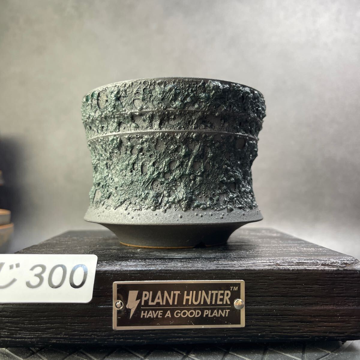 【未使用】じ300 Mサイズ 植木鉢 陶器 検（塊根植物 アガベ パキプス invisible ink raw life factory SRL 信楽焼 伝市鉢カタチ製作所 グラキリス)の落札 ...