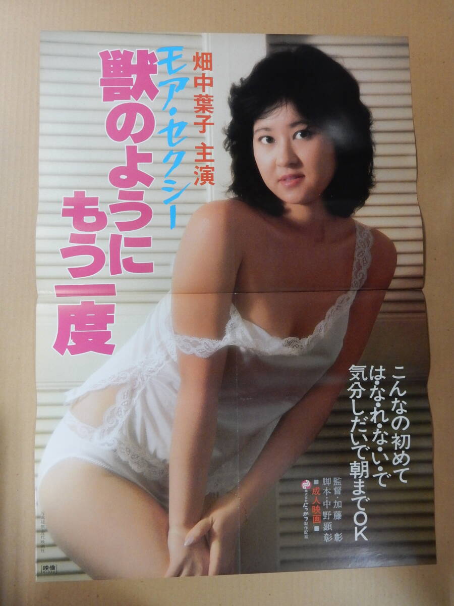 【目立った傷や汚れなし】ピン穴なし B2判劇場版ポスター「モア・セクシー 獣のようにもう一度」畑中葉子 1981年 日活ロマンポルノ 成人映画の落札情報詳細 - Yahoo!オークション落札 ...