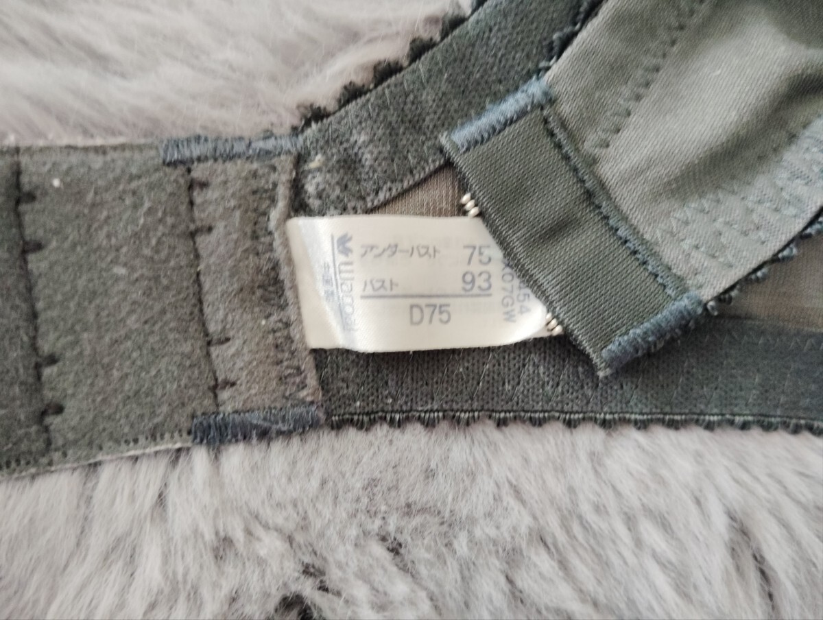 【やや傷や汚れあり】ワコール ブラジャー D75 補正下着 ホームクリーニング済み 28の落札情報詳細 - Yahoo!オークション落札価格検索 オークフリー