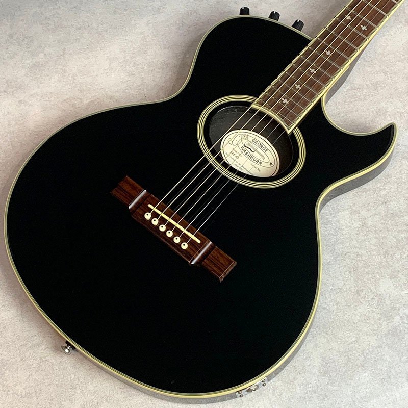 Washburn WV40 Seymour Duncan ANTHRAX SCOTT IANの落札情報詳細 - ヤフオク落札価格検索 オークフリー