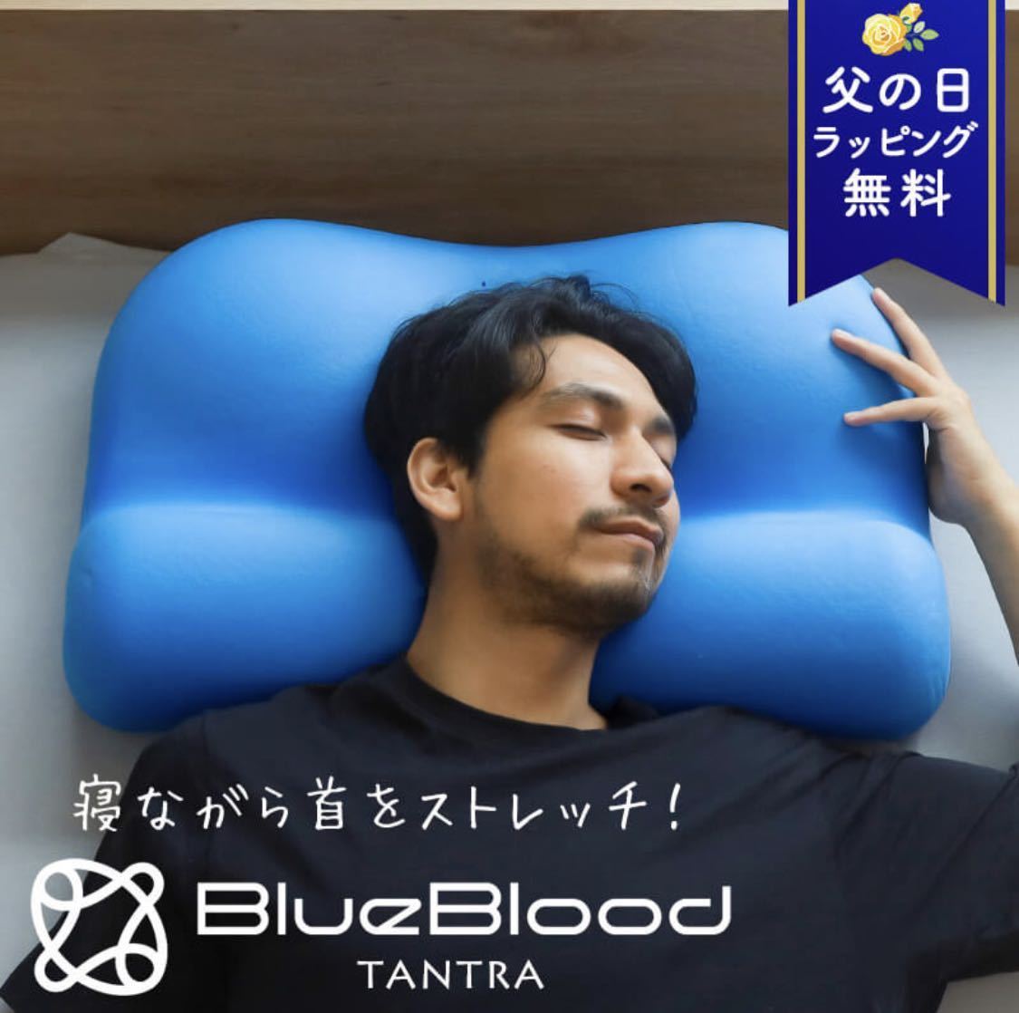 【未使用】[新品未使用] 枕 まくら ストレートネック ブルーブラッド タントラ ネックピロー 快眠枕 Tantraの落札情報詳細