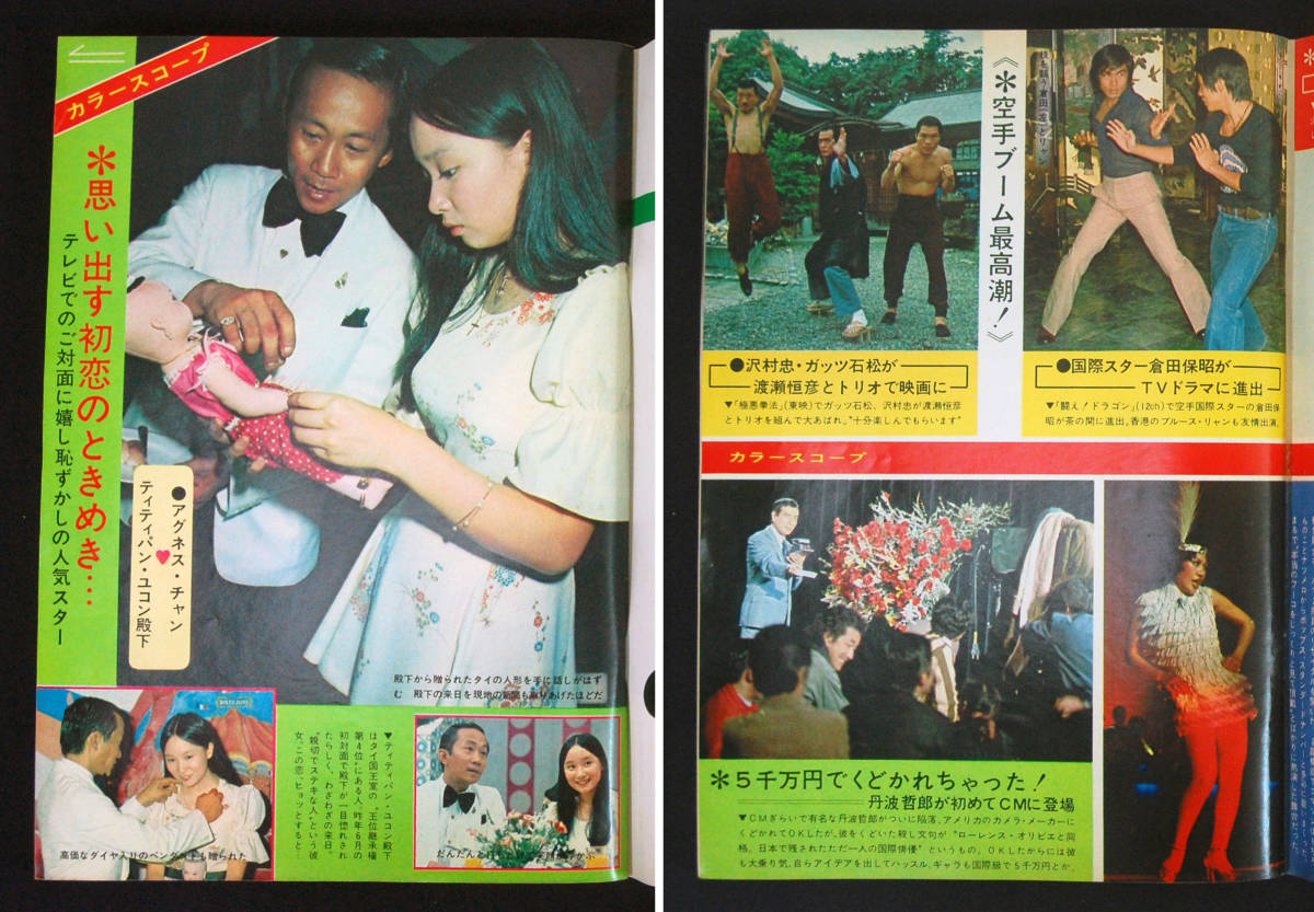 【やや傷や汚れあり】週刊明星 1974年6月9日号 アグネス・チャン 倉田保昭 中村英子 田岡満 榊原るみ 草刈正雄 今陽子 山口百恵 ドレミ