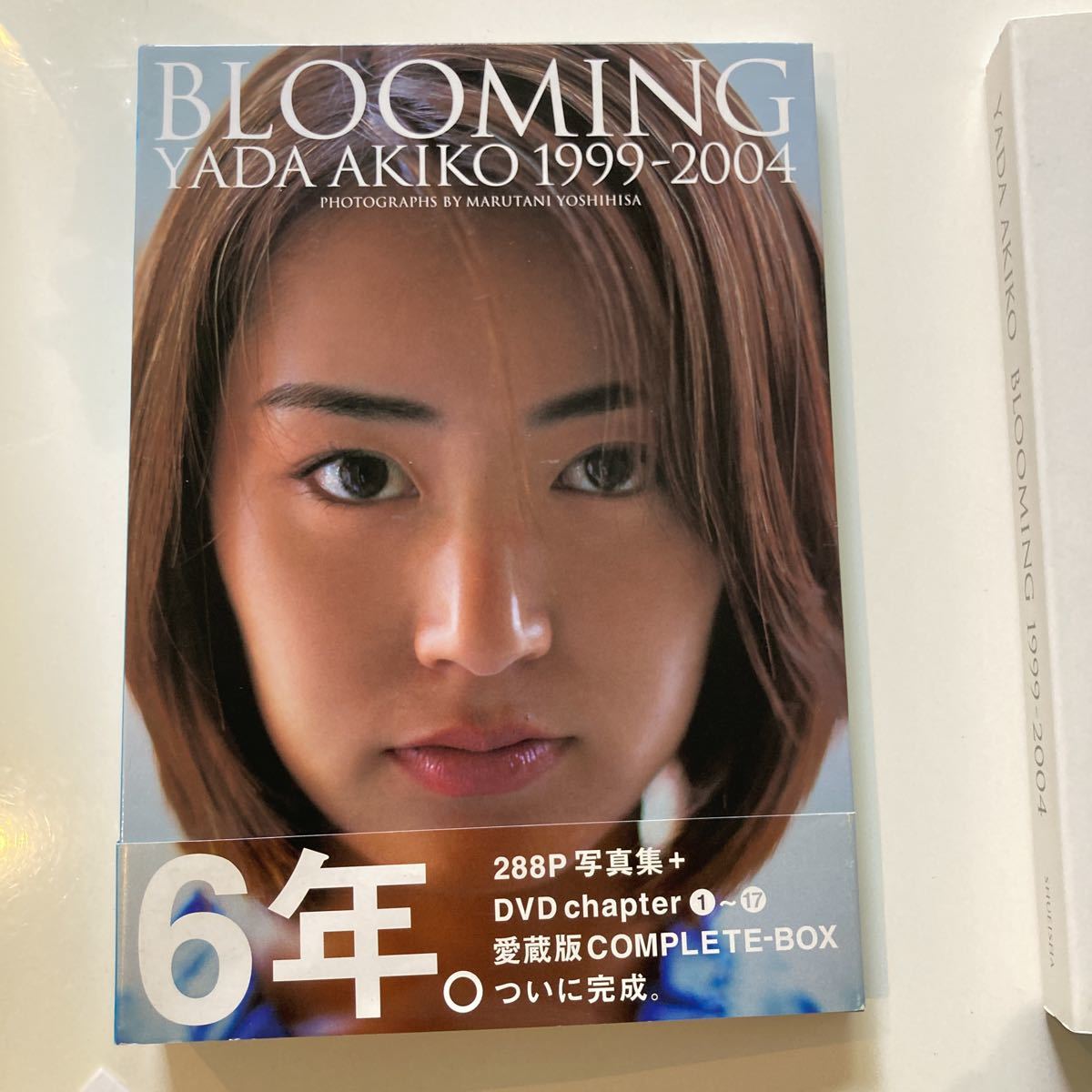 【目立った傷や汚れなし】矢田亜希子 写真集288ページ DVD40分の落札情報詳細 - Yahoo!オークション落札価格検索 オークフリー