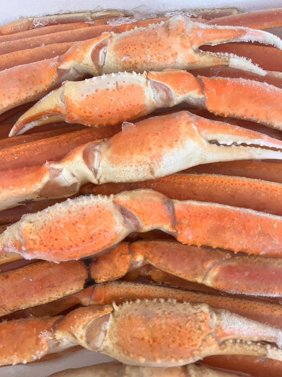 【未使用】※年末年始配達日指定可能※ 特大サイズ ボイル本ずわい蟹 4〜5L 2kg(5～7肩入) 化粧箱の落札情報詳細 - ヤフオク落札価格検索 オークフリー