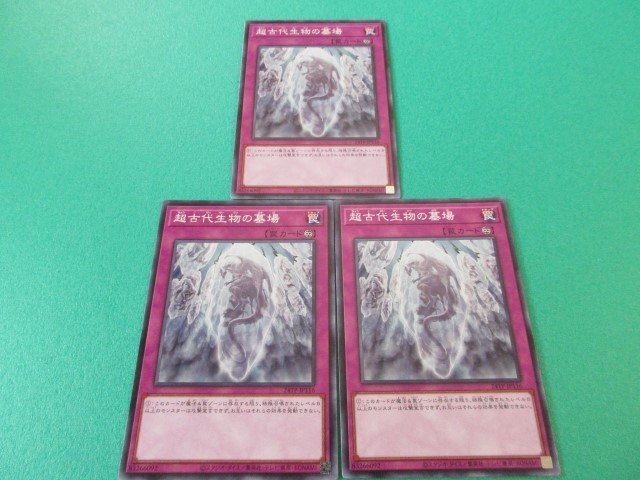 【目立った傷や汚れなし】『遊戯王』 24TP-JP116 ノーマル 超古代生物の墓場 3枚セット ②-②の落札情報詳細 - Yahoo!オークション落札価格検索 オークフリー