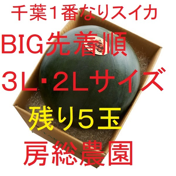 【未使用】お盆・お中元に！！！千葉産【ブラックジャック】種無し高級スイカ・秀品2L・3Lサイズ（1玉7〜9kg）⑤の落札情報詳細 - ヤフオク落札価格検索 オークフリー