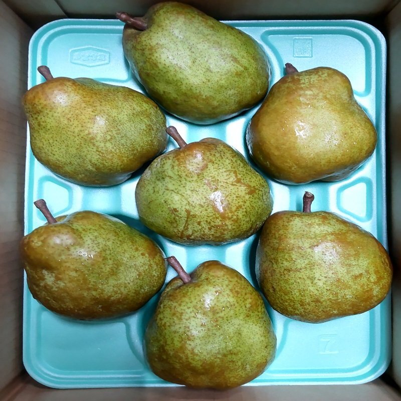 【未使用】ラ・フランス 山形県産 贈答用 3kg 大玉 5L 7玉入り ラフランス らふらんす 洋梨 洋なし フルーツ 果物 山形 贈答品 ギフト 贈り物の落札情報詳細 - Yahoo ...