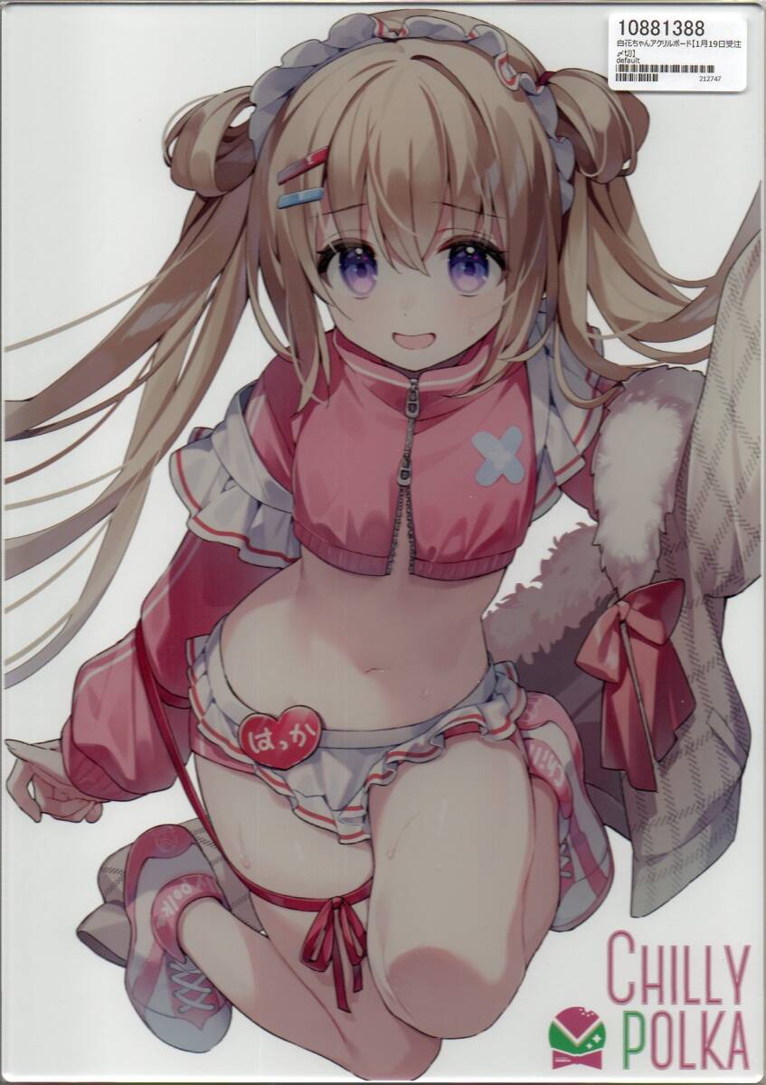 【未使用】すいみゃ 白花ちゃん A4アクリルボード/Chilly polkaの落札情報詳細 - Yahoo!オークション落札価格検索 オークフリー