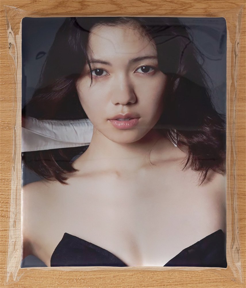 【未使用に近い】二階堂ふみ/PVC抱き枕/空気ビニール/エアクッション/90cm×45cmの落札情報詳細 - Yahoo!オークション落札価格検索 オークフリー