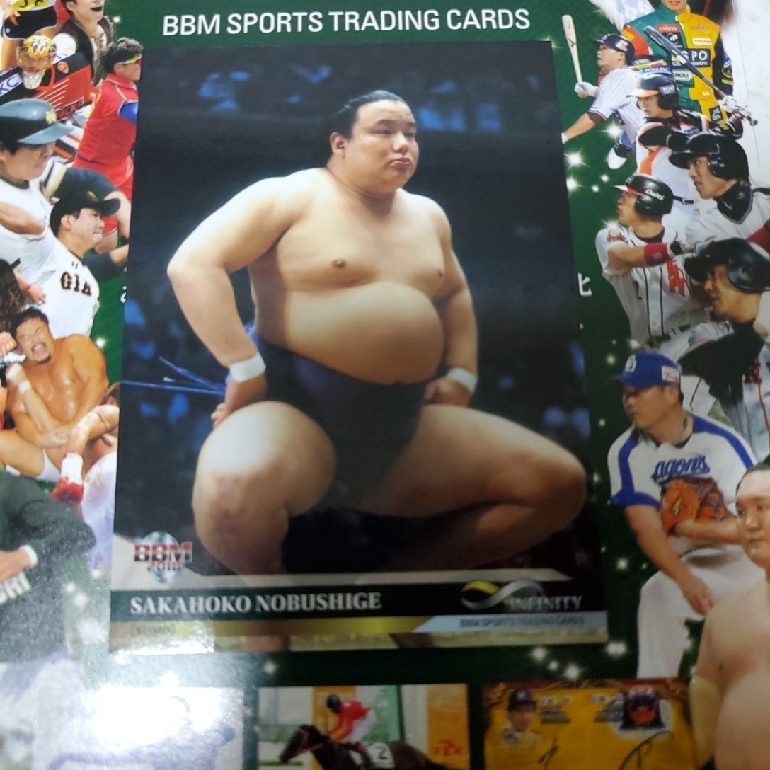 【未使用】【即決】BBM infinity 2018 インフィニティ/逆鉾伸重/#051/ スポーツトレーディングカード/同梱可能 在庫3の落札情報詳細 - ヤフオク落札価格検索 オークフリー
