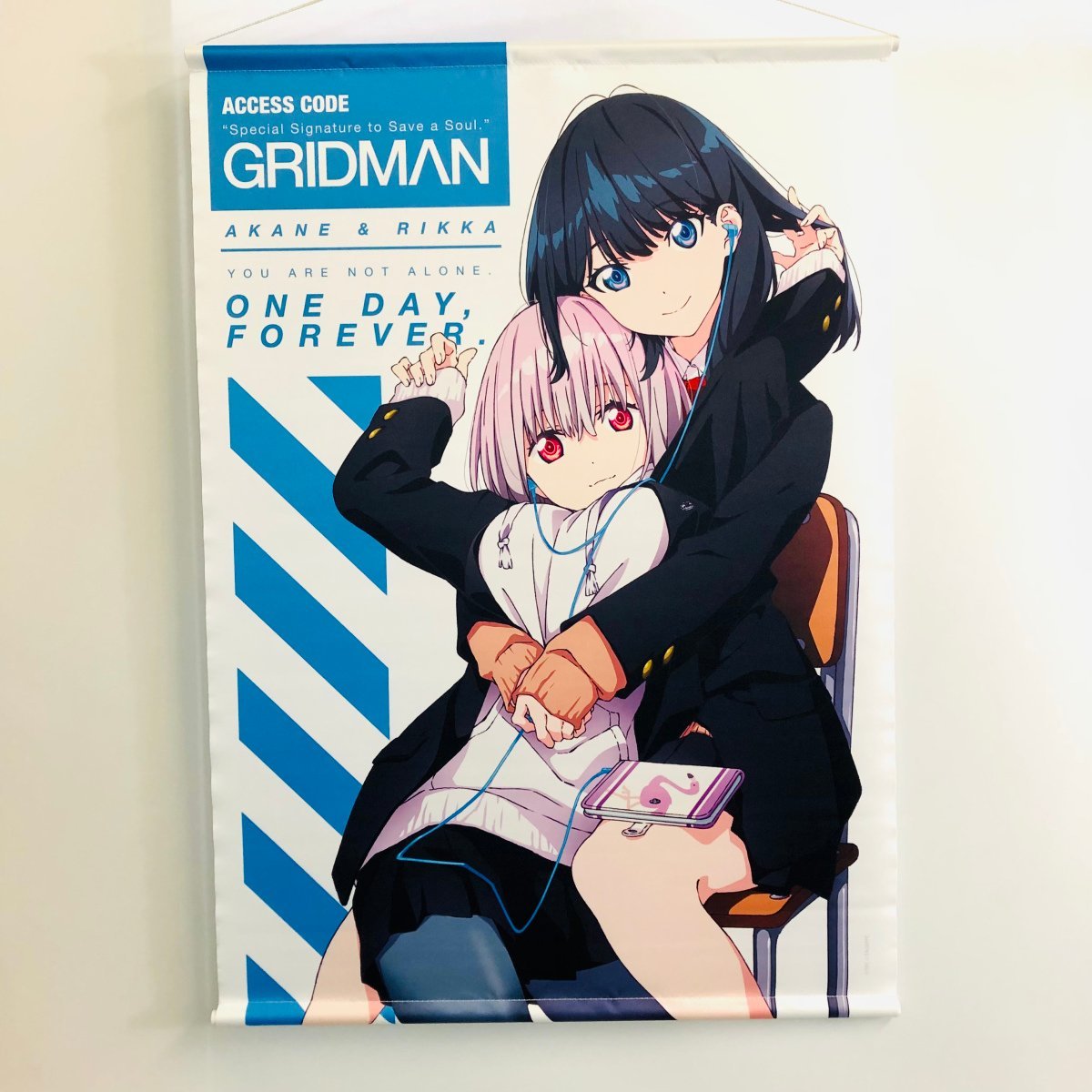 【やや傷や汚れあり】中古品 コスパ SSSS.GRIDMAN グリッドマン B2タペストリー 宝多六花 新庄アカネの落札情報詳細 - ヤフオク落札価格検索 オークフリー
