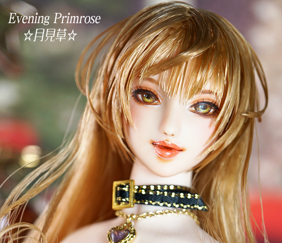 【未使用】1/6ドール カスタムヘッド オビツ クールガール TBleague Phicen ファイセンにも★莉央★月見草 の落札情報詳細 ...