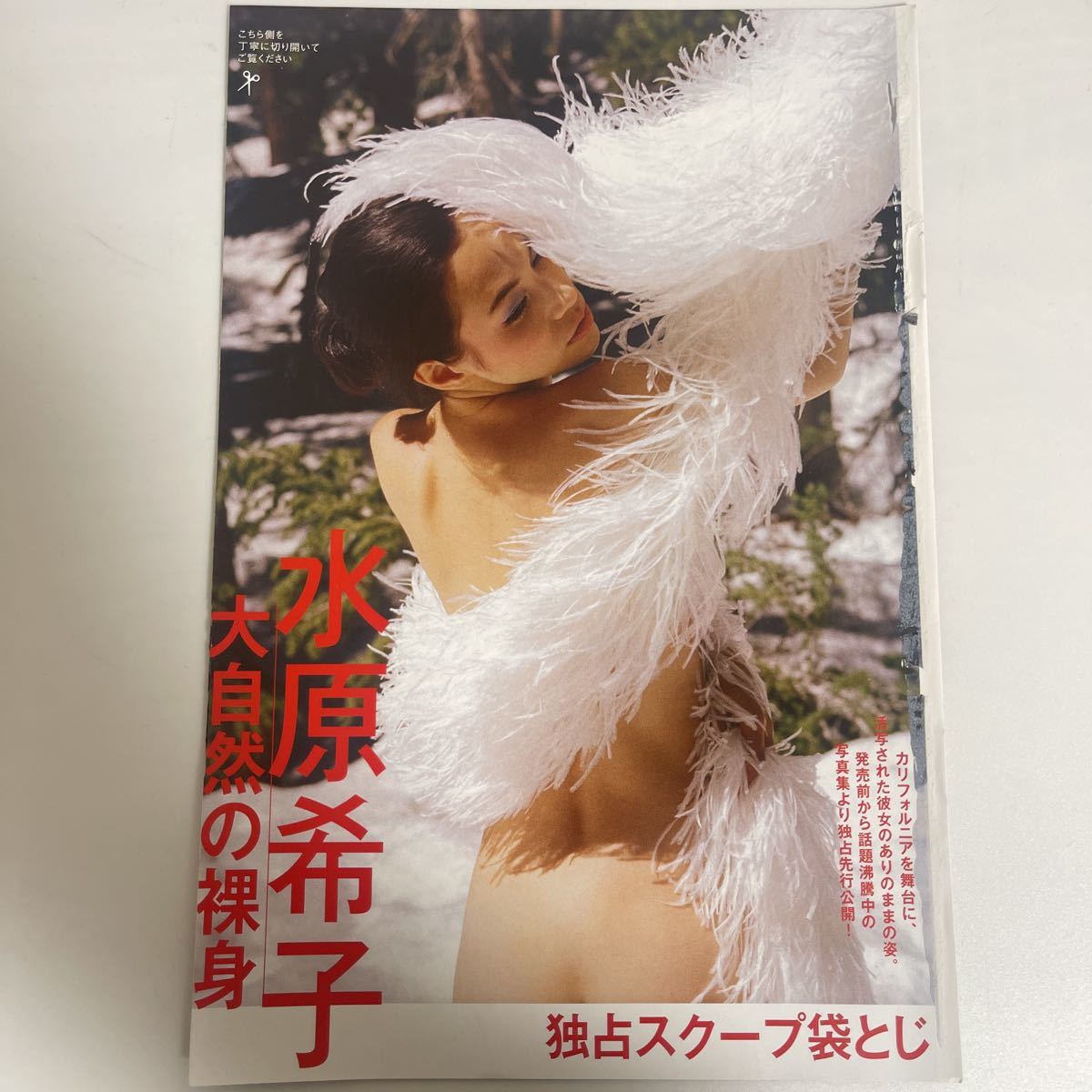 【目立った傷や汚れなし】水原希子 袋とじ 大自然の裸身 グラビア 切り抜き sku c6-1の落札情報詳細 - Yahoo!オークション落札価格検索 オークフリー