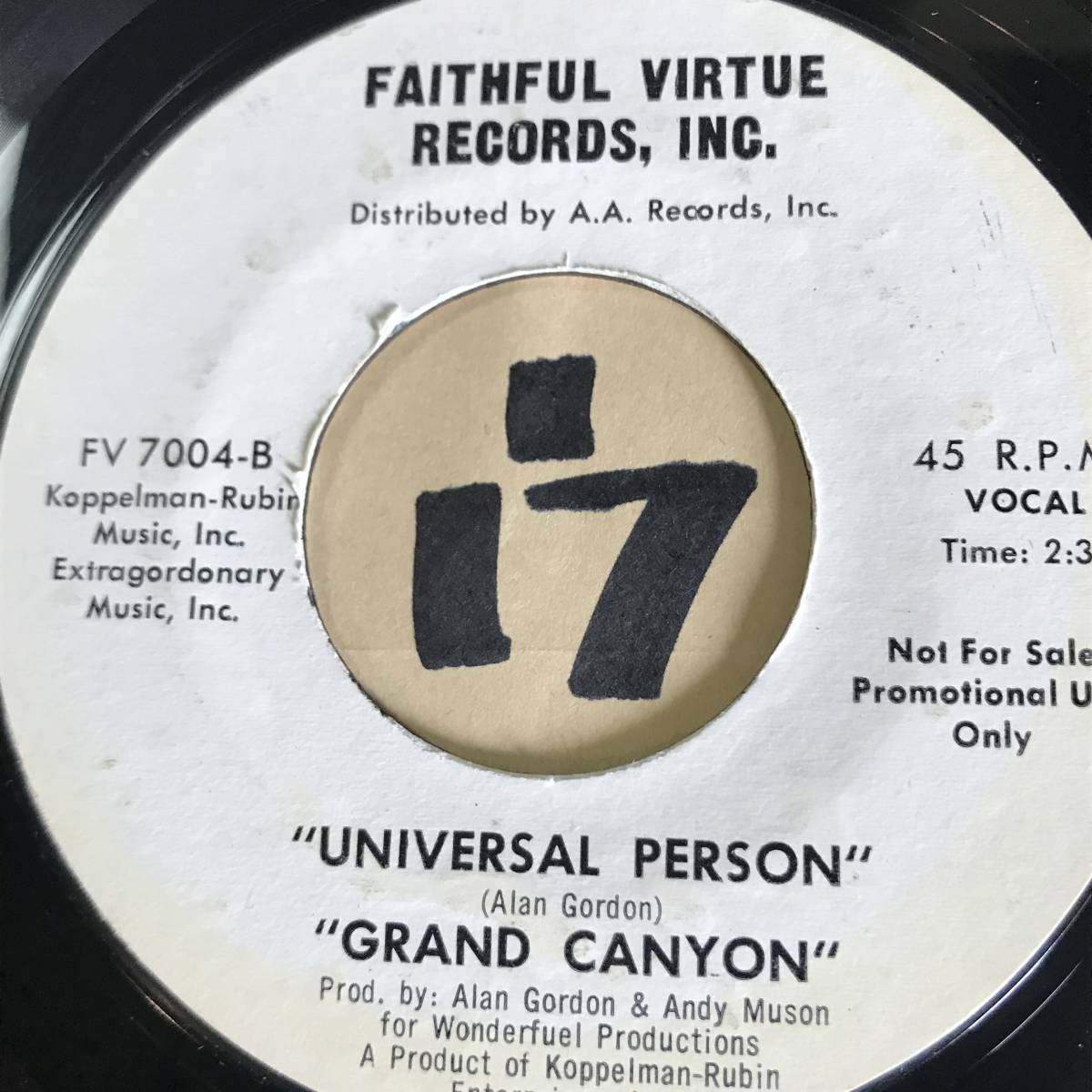【未使用に近い】試聴 GRAND CANYON UNIVERSAL PERSON 両面NMの落札情報詳細 - ヤフオク落札価格検索 オークフリー