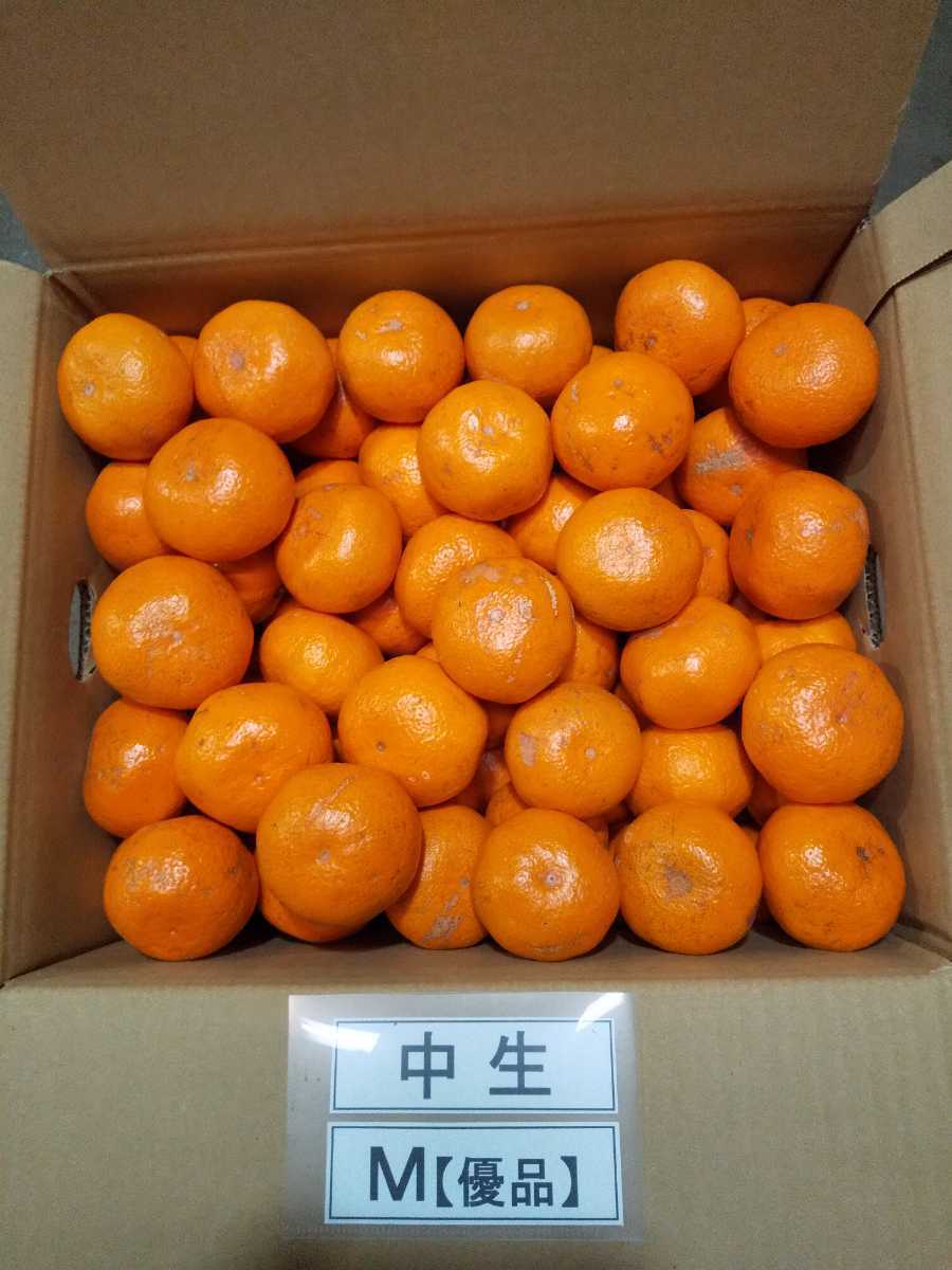 【未使用】和歌山【良】混4★完熟中生みかん★ご家庭用【3L・4L】混合 箱込み5kgの落札情報詳細 - ヤフオク落札価格検索 オークフリー