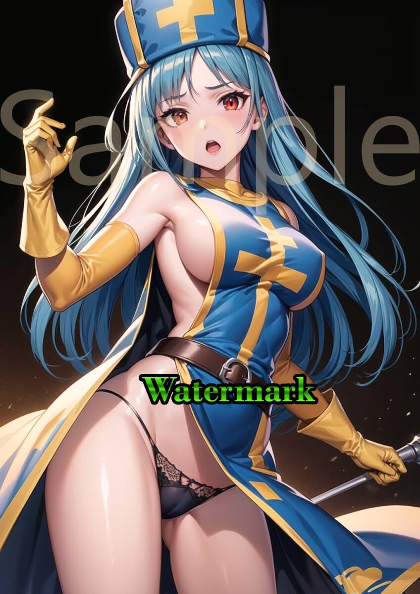 【未使用に近い】★ドラゴンクエストⅢ：女僧侶【PVTD23T08】★A4ポスター 同人 特殊印刷 イラスト オリジナル sexy secret ドラクエ3 DRAGON QUEST3 DQ3の ...