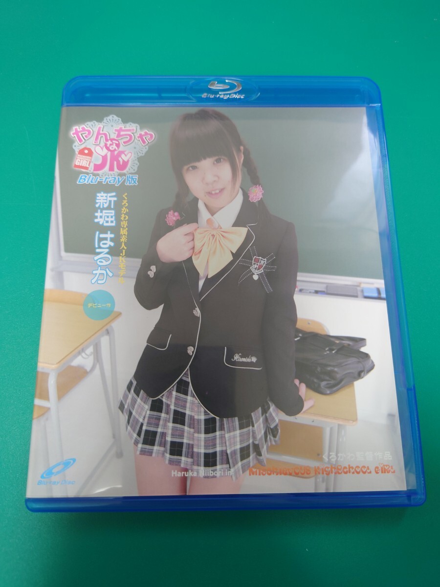 【やや傷や汚れあり】新堀はるか やんちゃなJK PART.2 中古DVDの落札情報詳細 - Yahoo!オークション落札価格検索 オークフリー