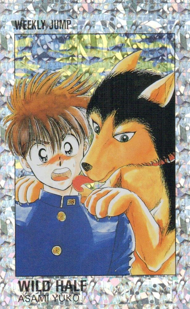 【傷や汚れあり】★WILD HALF/ワイルドハーフ 浅美裕子 週刊少年ジャンプ ホログラム 傷有★テレカ50度数未使用vl_29の落札情報詳細 - Yahoo!オークション落札価格検索 オークフリー