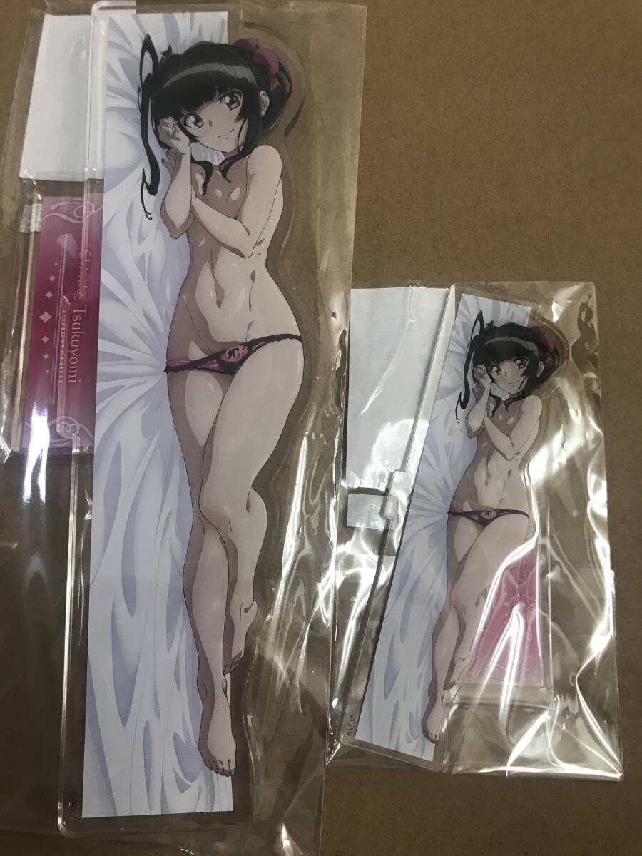 【未使用】戦姫絶唱シンフォギアXV BIGアクリルスタンド 月読調 添い寝ver.の落札情報詳細 - Yahoo!オークション落札価格検索 オークフリー