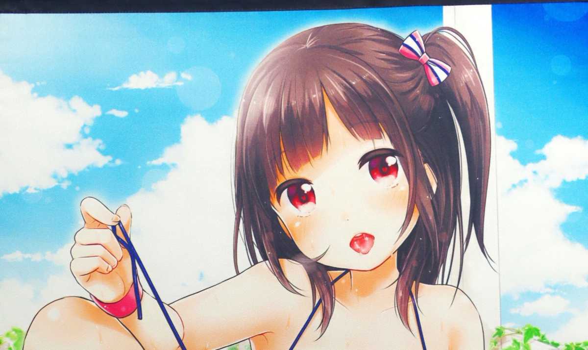 雪雨こん JCマニュアル B2タペストリー とらのあな限定版 特典 蒼井しほ チアガール プレミア撮影会 コスプレ MeltdoWN COmet ロリ 美少女の落札情報詳細 - ヤフオク落札 ...