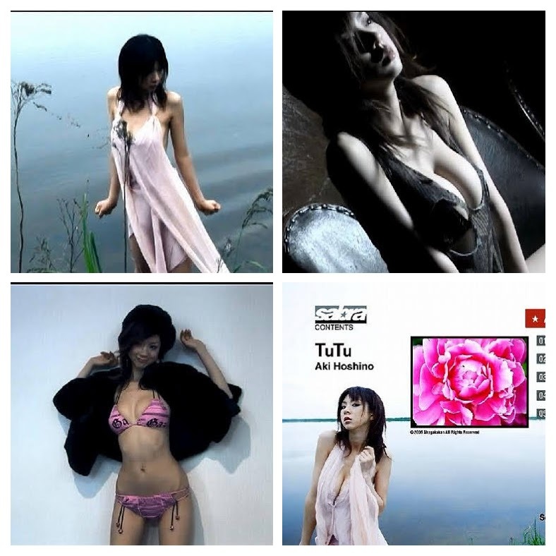 即決！送料無料！ セルDVD 『 ほしのあき TuTu 』★ sabra × 野村誠一の落札情報詳細 - Yahoo!オークション落札価格検索 オークフリー