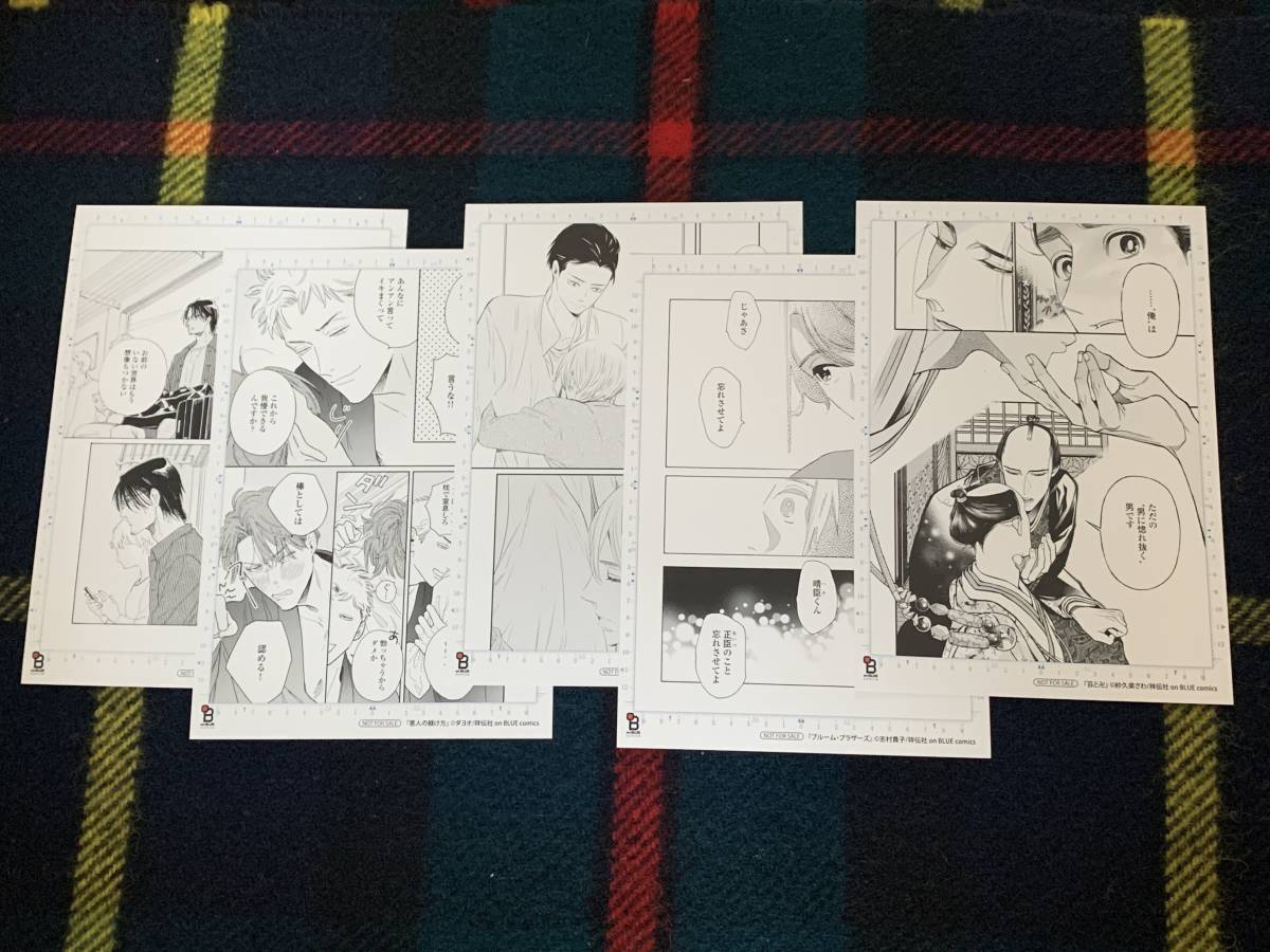 【やや傷や汚れあり】【コミック】STAYGOLD 全6巻/それから。 計7冊 秀良子 BL【中古】の落札情報詳細 - ヤフオク落札価格検索 オークフリー