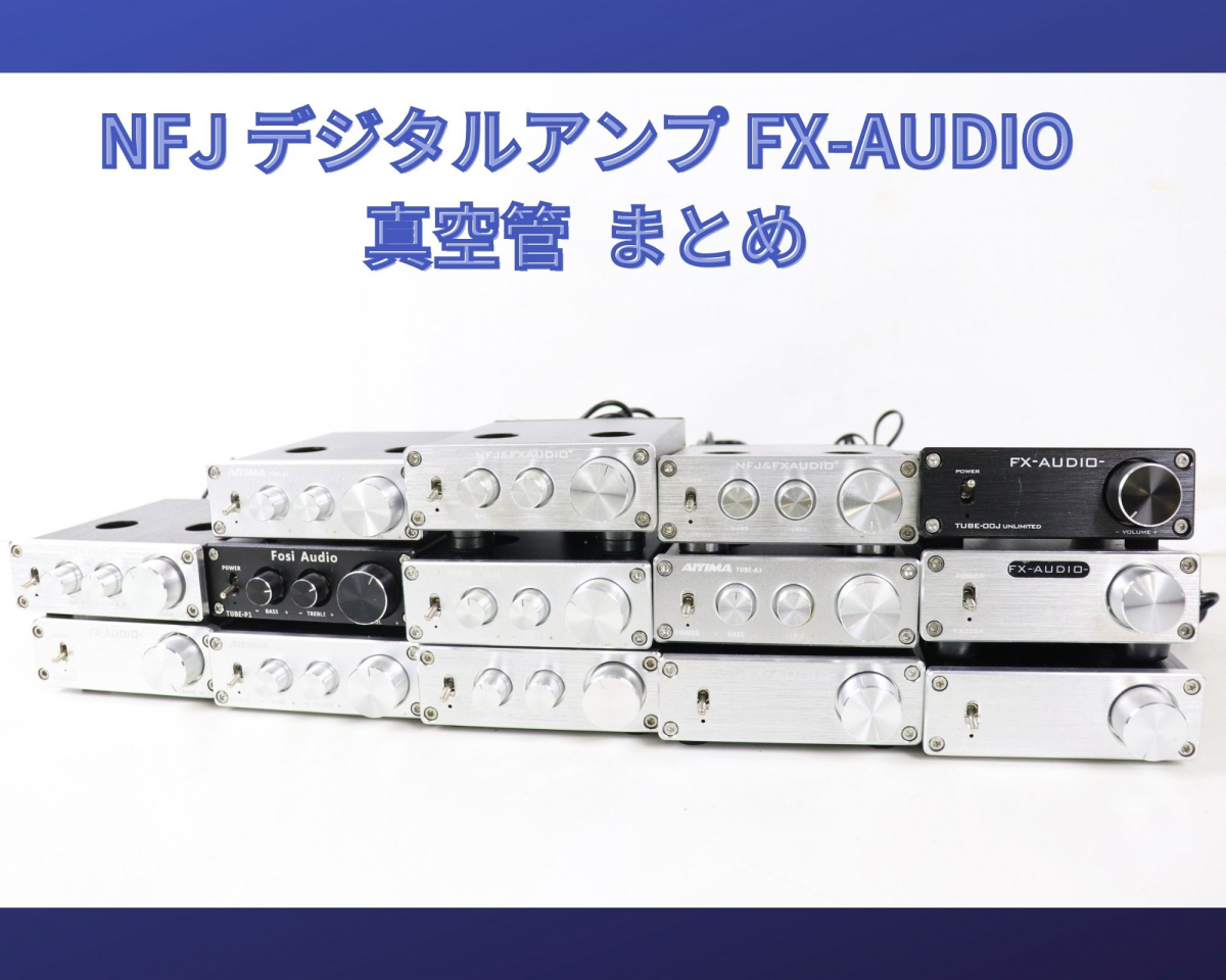 【やや傷や汚れあり】NFJ デジタルアンプ FX-AUDIO ノースフラットジャパン 小型アンプ FX202J TUBE-01 FX252A ...