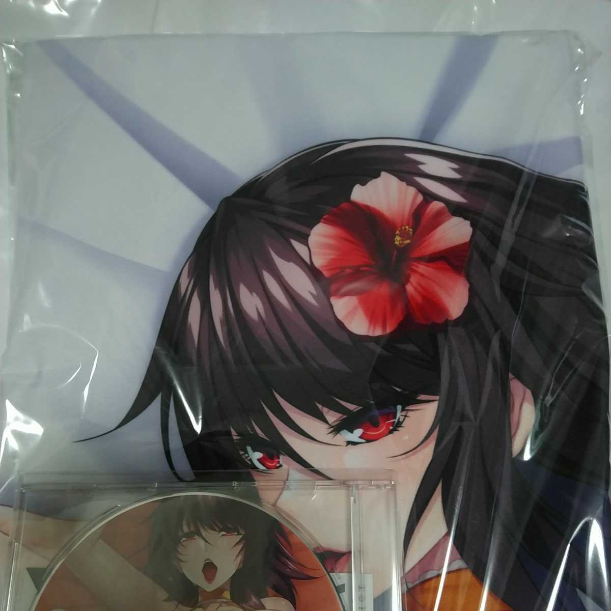 【未使用】C101 Lilith 対魔忍RPG 水城不知火 魔神蛇子さま 抱き枕カバー&ドラマCDセットの落札情報詳細 - ヤフオク落札価格情報 オークフリー