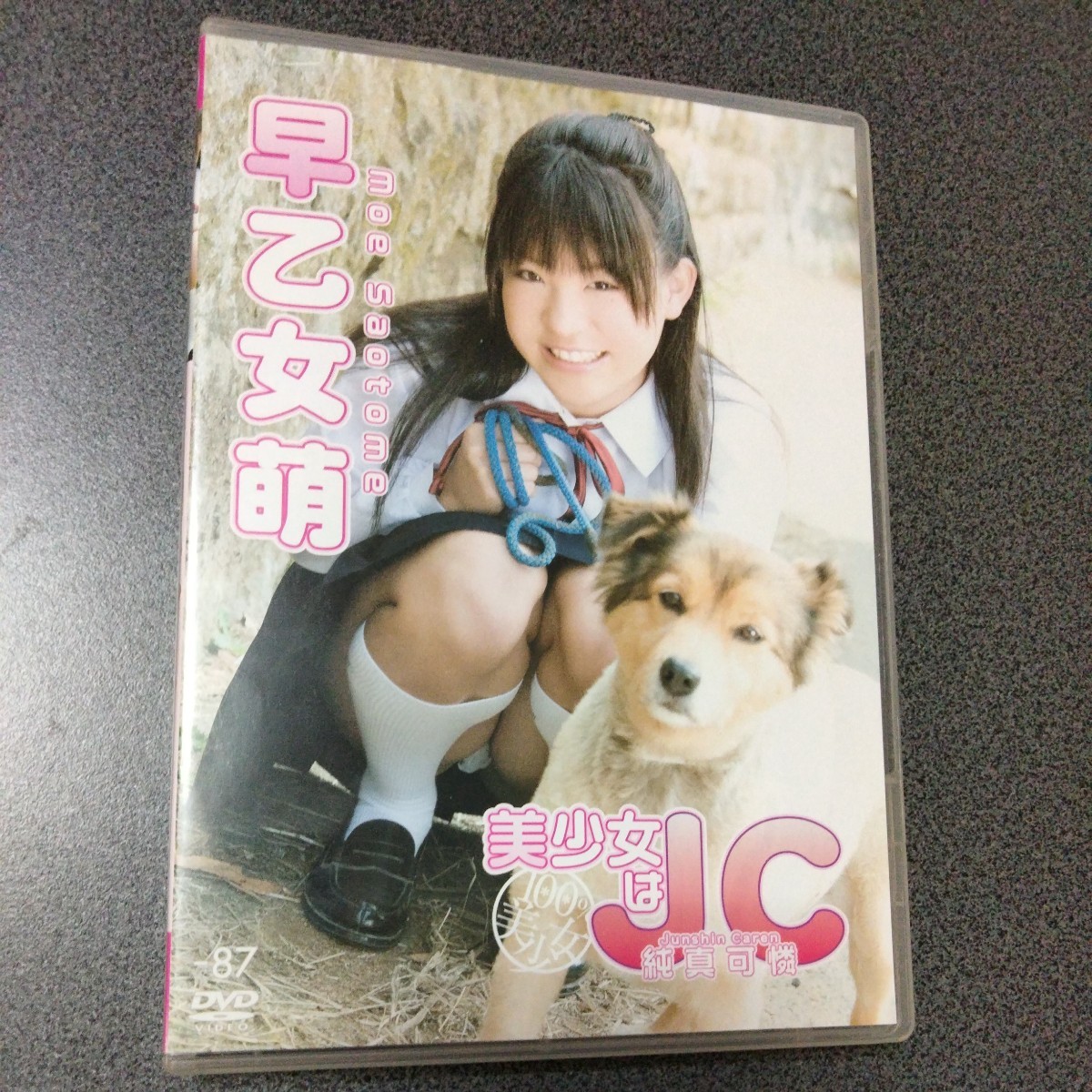 【やや傷や汚れあり】アイドルdvd早乙女萌 美少女は純真可憐の落札情報詳細 ヤフオク落札価格検索 オークフリー