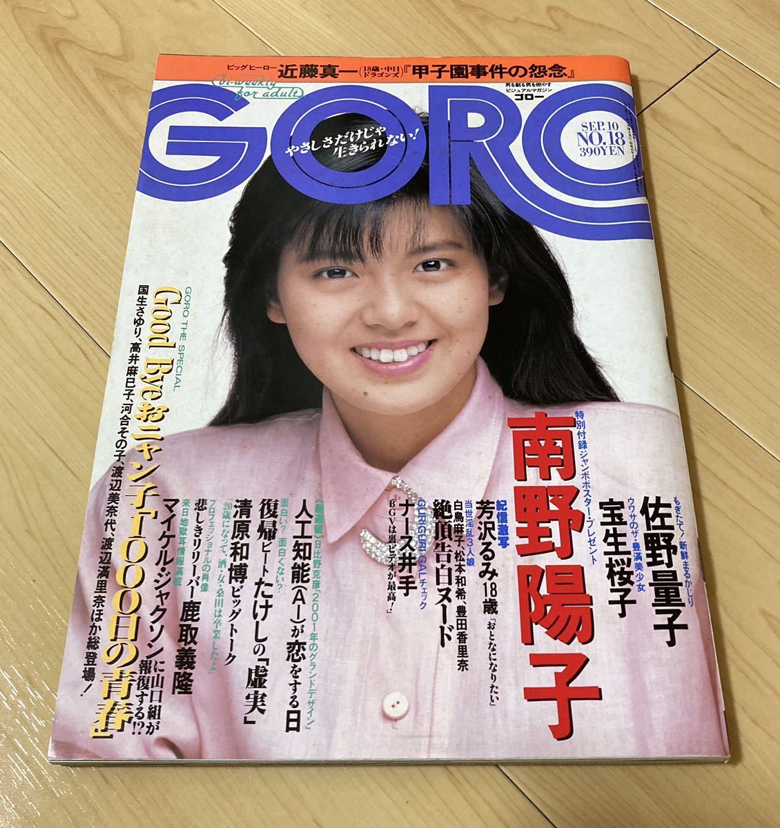 【傷や汚れあり】GORO 1987年9月 NO.18 当時物 昭和アイドル 佐野量子 南野陽子 おニャン子クラブ 宝生桜子 昭和レトロ 廃盤 ゴロー レトロの落札情報詳細 - Yahoo ...