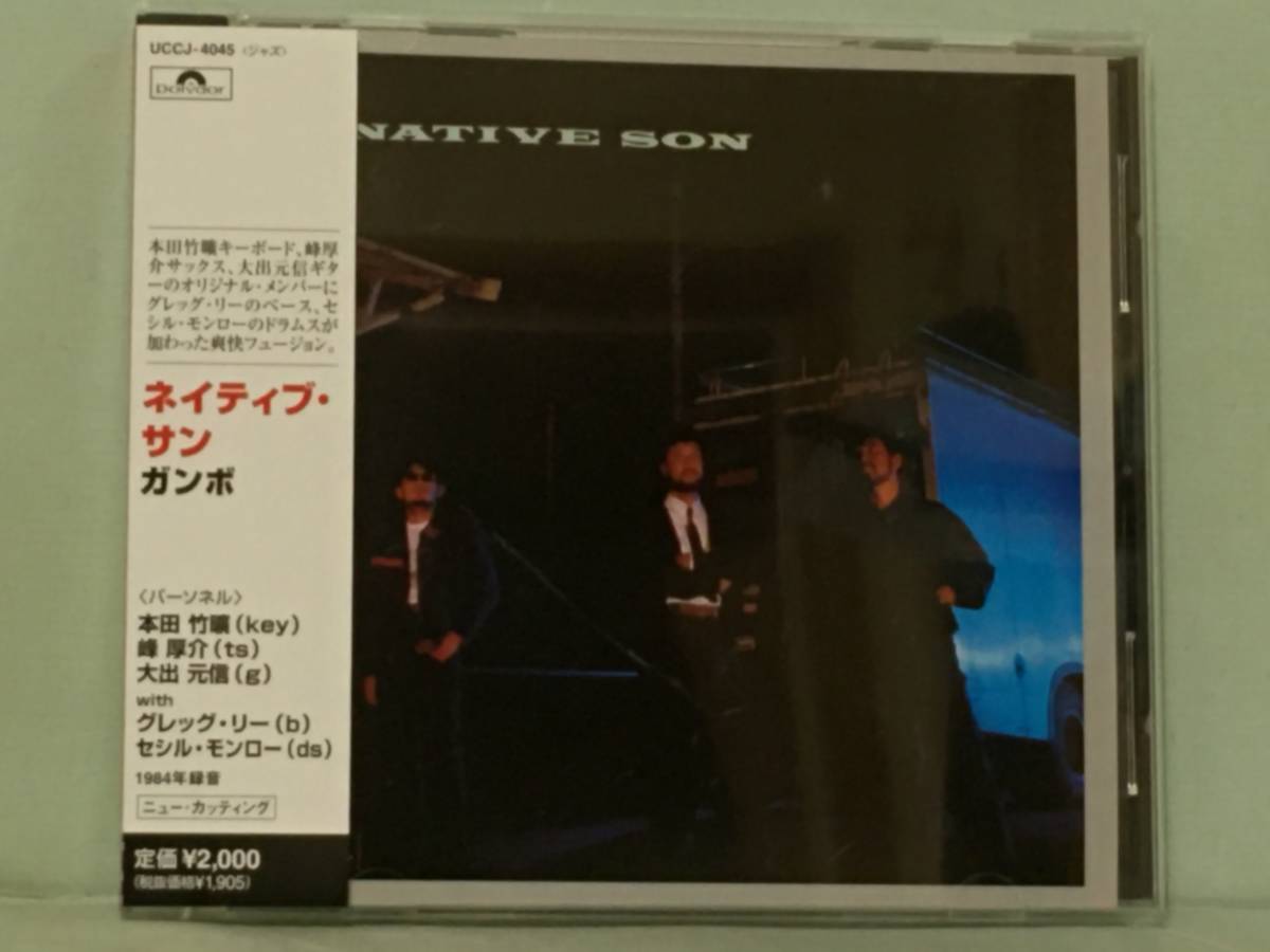 【傷や汚れあり】ネイティブ・サン「リゾート」（NATIVE SON「RESORT」）LPレコードの落札情報詳細 - ヤフオク落札価格検索 オークフリー