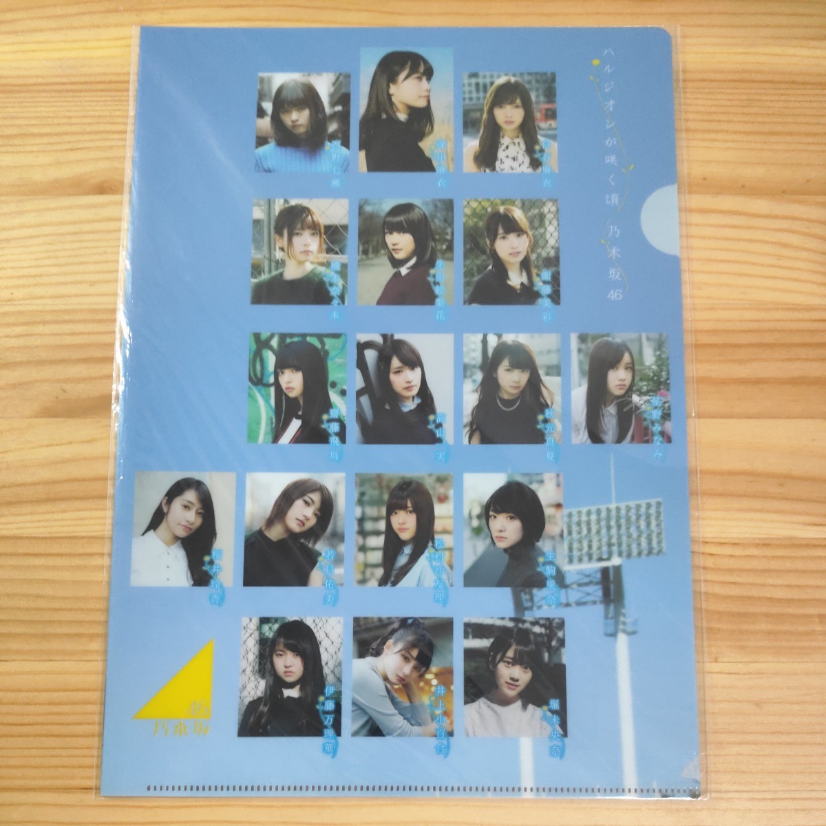 【未使用】未開封 乃木坂46 西野七瀬 白石麻衣 橋本奈々未 生田絵梨花 深川麻衣 齋藤飛鳥 秋元真夏 生駒里奈 井上小百合 堀未央奈 A4