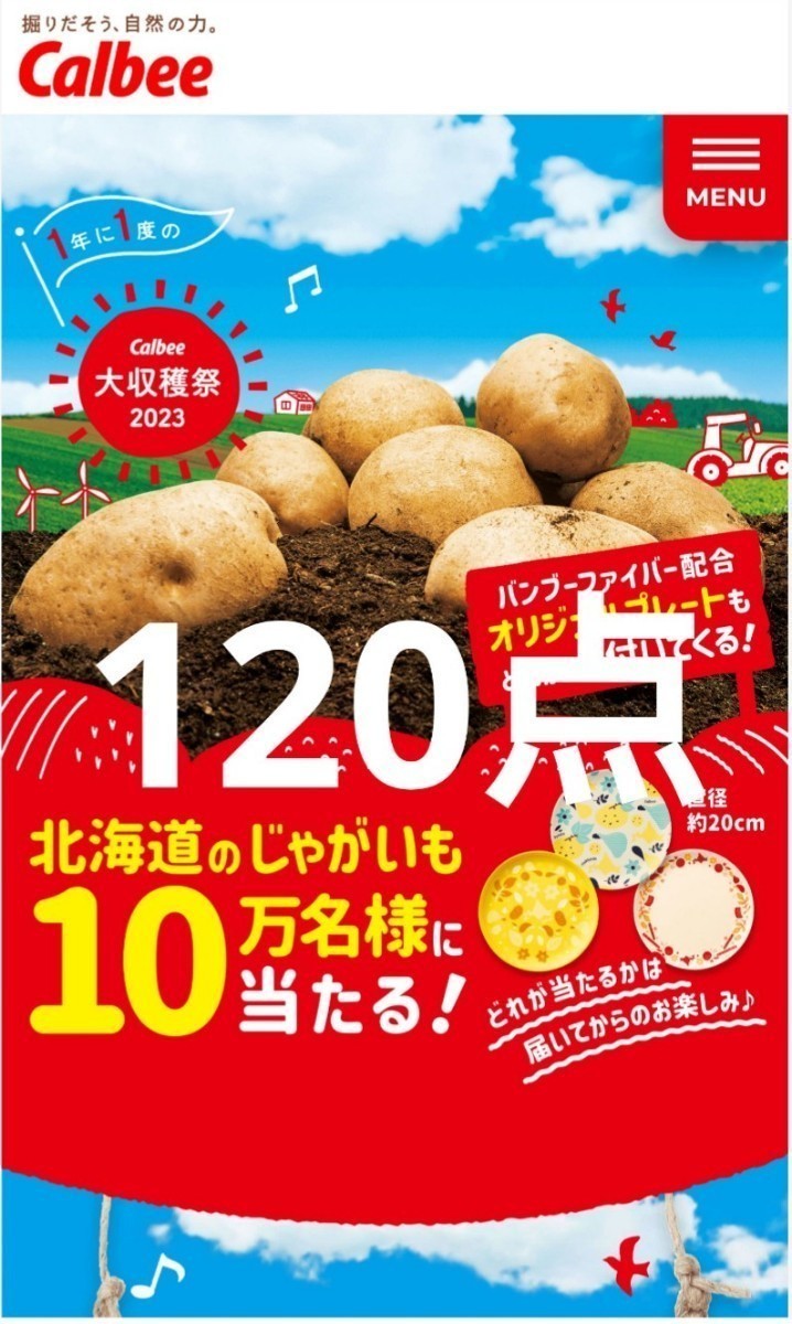 【目立った傷や汚れなし】 Calbee 2023カルビーキャンペーン大収穫祭 じゃがビー応募券120点（3点×40枚） の落札情報詳細 - ヤフオク落札価格検索 オークフリー
