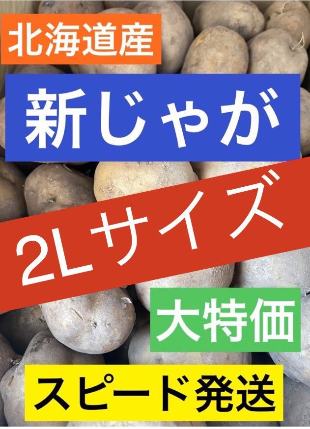 【未使用】JA えにわ 北海道 キタカムイ 新じゃが 2Lサイズ じゃがいも 9.7kgの落札情報詳細 - ヤフオク落札価格検索 オークフリー
