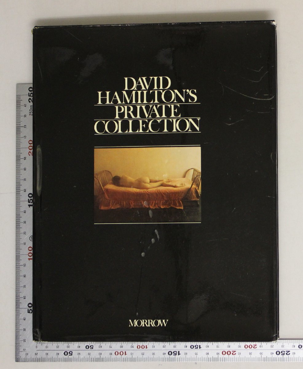 【新品】☆Hamilton Collection☆ティファニーコレクション☆Tulip猫ちゃん(猫の置物)2218の落札情報詳細 - ヤフオク ...