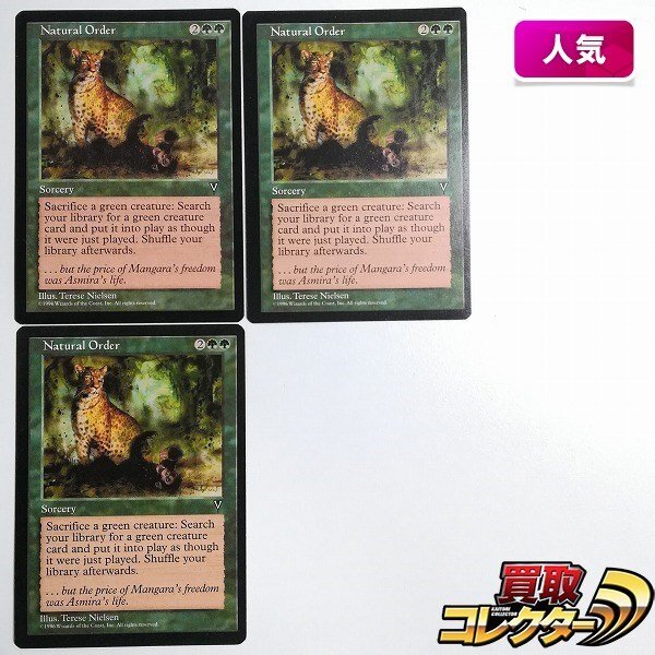 【傷や汚れあり】sB443o [人気] MTG 自然の秩序 Natural Order ビジョンズ VIS 英語版 計3枚の落札情報詳細 ...