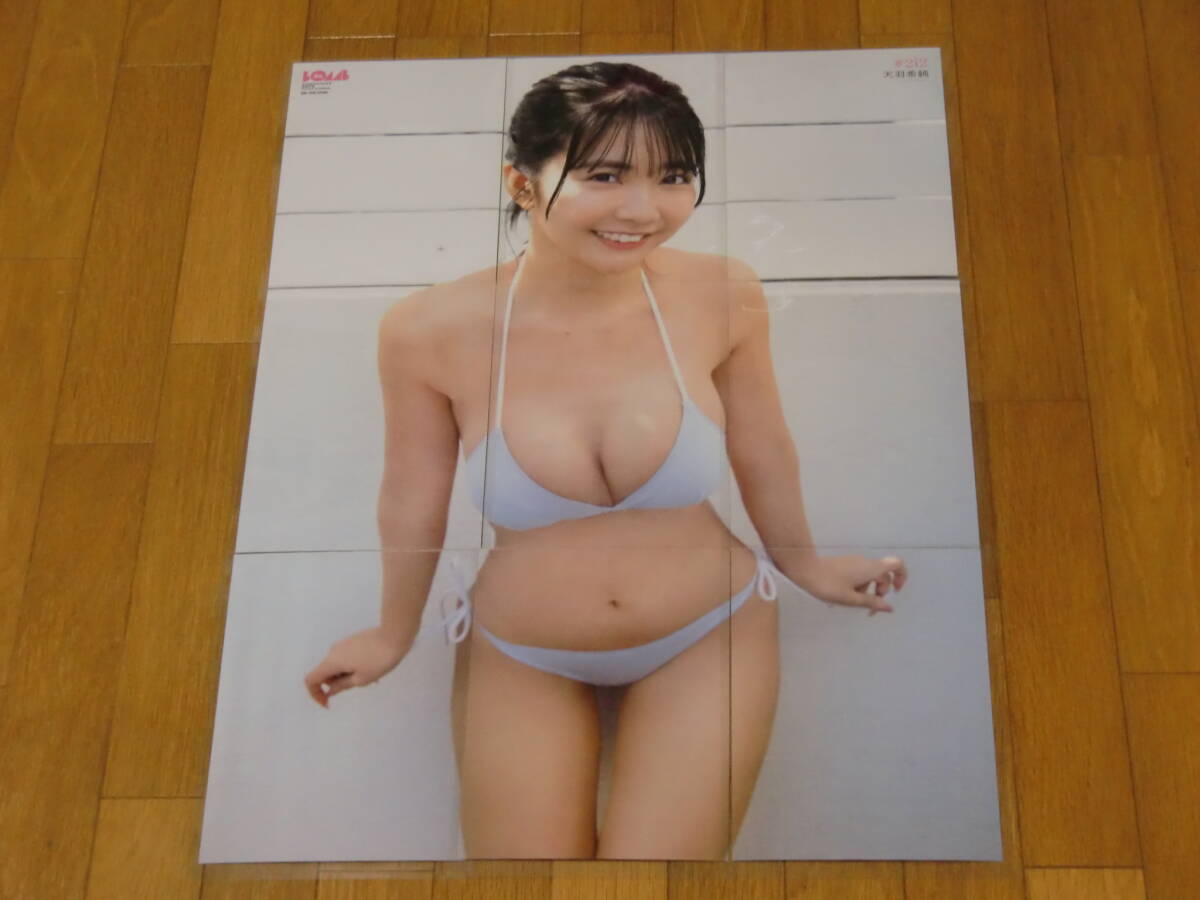 【目立った傷や汚れなし】天羽希純.♯2i2.18ページ.9枚.BOMB.ボム.2024年.5月号.切り抜き.ラミネート.ラミネート加工.パウチ.水着.ビキニ.付録.ポスター.出品個数7の落札 ...