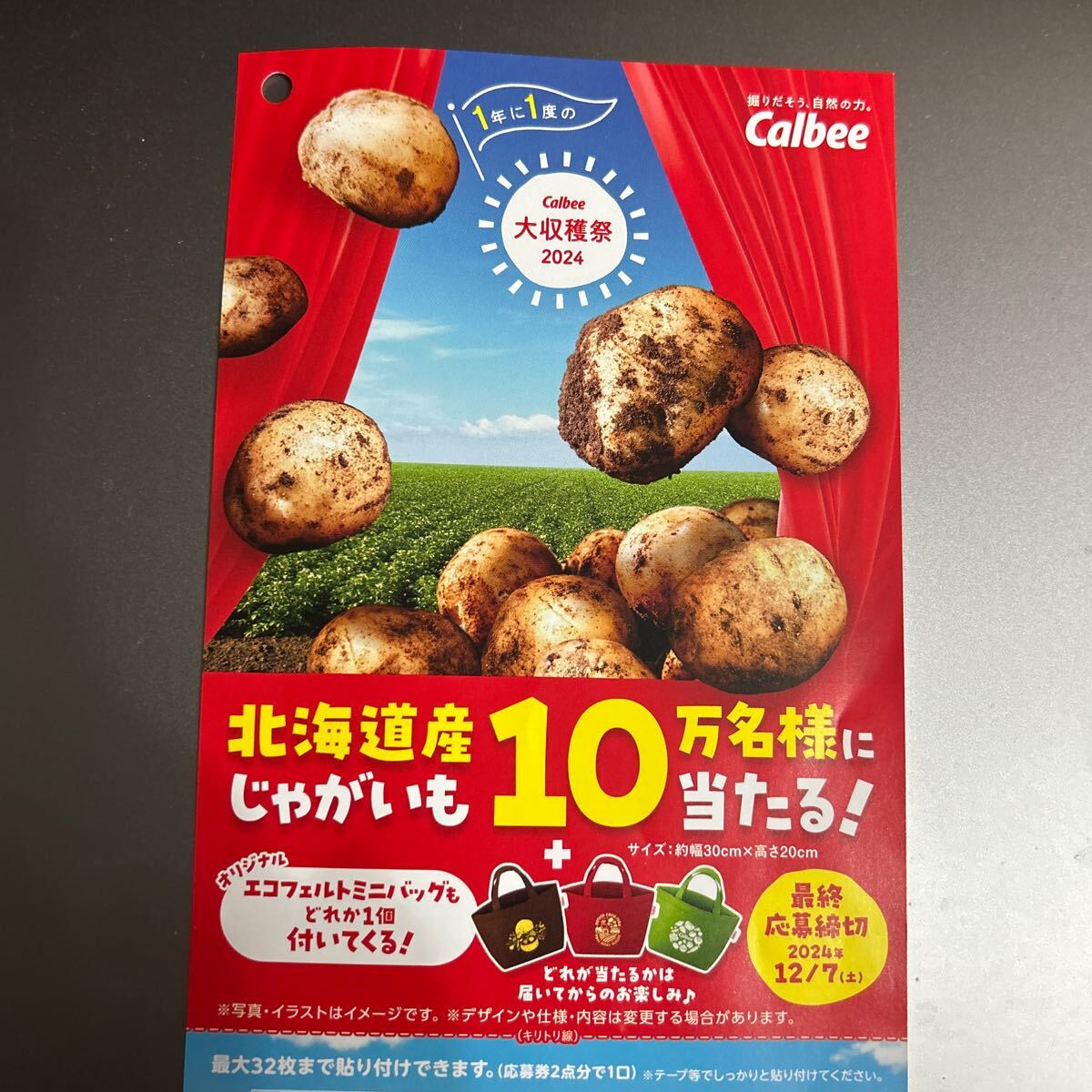 【目立った傷や汚れなし】懸賞 Calbee カルビー 2024大収穫祭 北海道産じゃがいも10万名様に当たる！60口分120点の落札情報詳細 - Yahoo!オークション落札価格検索 オークフリー