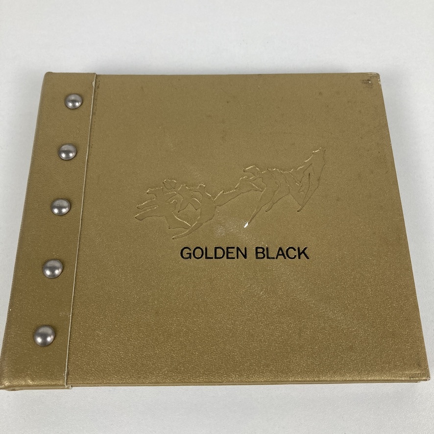 【やや傷や汚れあり】YC4 ギターウルフ GUITAR WOLF [ ゴールデンブラック ] 初回限定:本革ジャケットの落札情報詳細 ...