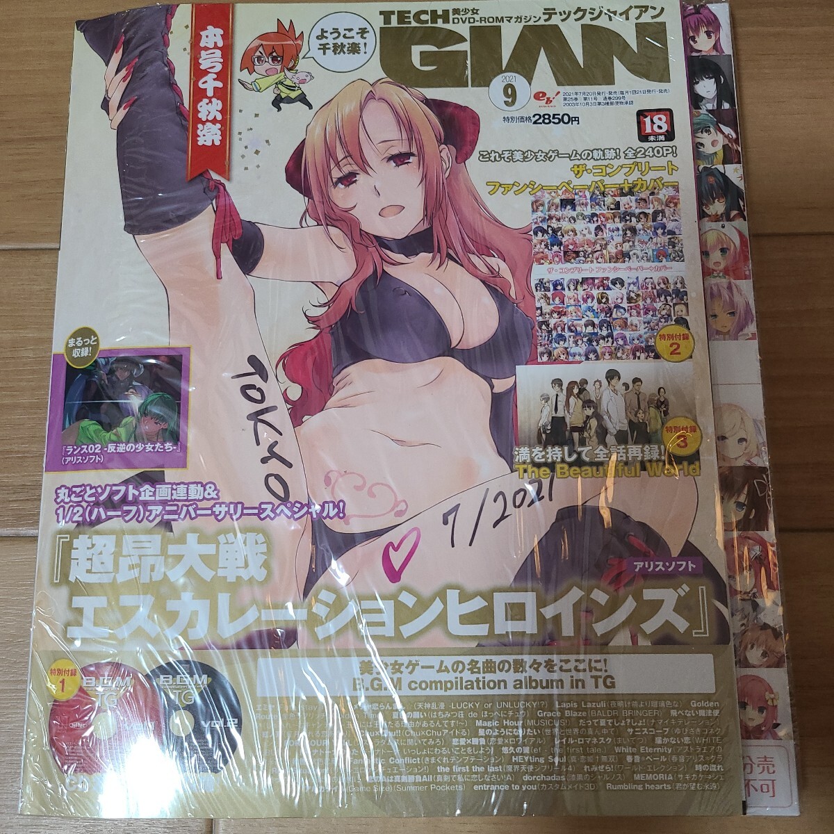 【やや傷や汚れあり】2110TN TECH GIAN テックジャイアン 1997.11 付録CD-ROM付/にしき義統表紙イラストコレクション/死闘!麻雀遊戯/ディア・プリンセスの落札情報詳細 ...