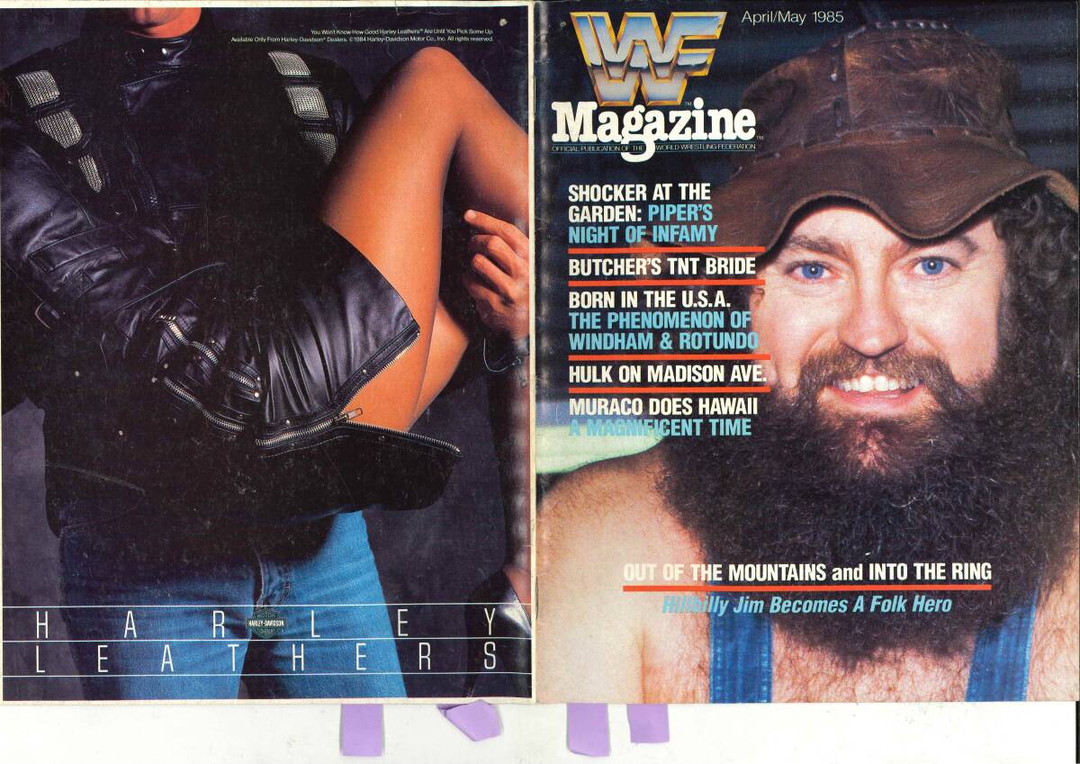 ※難あり！ルーズ品 超美品 WWF WWE クラシック スーパースター フィギュア「アックス」アックス・デモリッション アメリカンプロレス の落札情報詳細 - Yahoo!オークション落札価格 ...