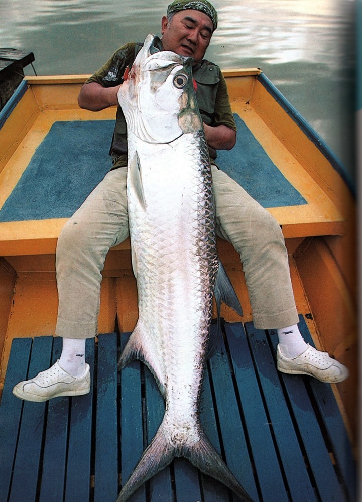 【傷や汚れあり】月刊 PLAYBOY 日本版 1986年5月号 PLAYBOYインタビュー村上春樹 中山美穂 刀根麻理子 開高健 ほかの落札情報詳細 - Yahoo!オークション落札価格検索 ...