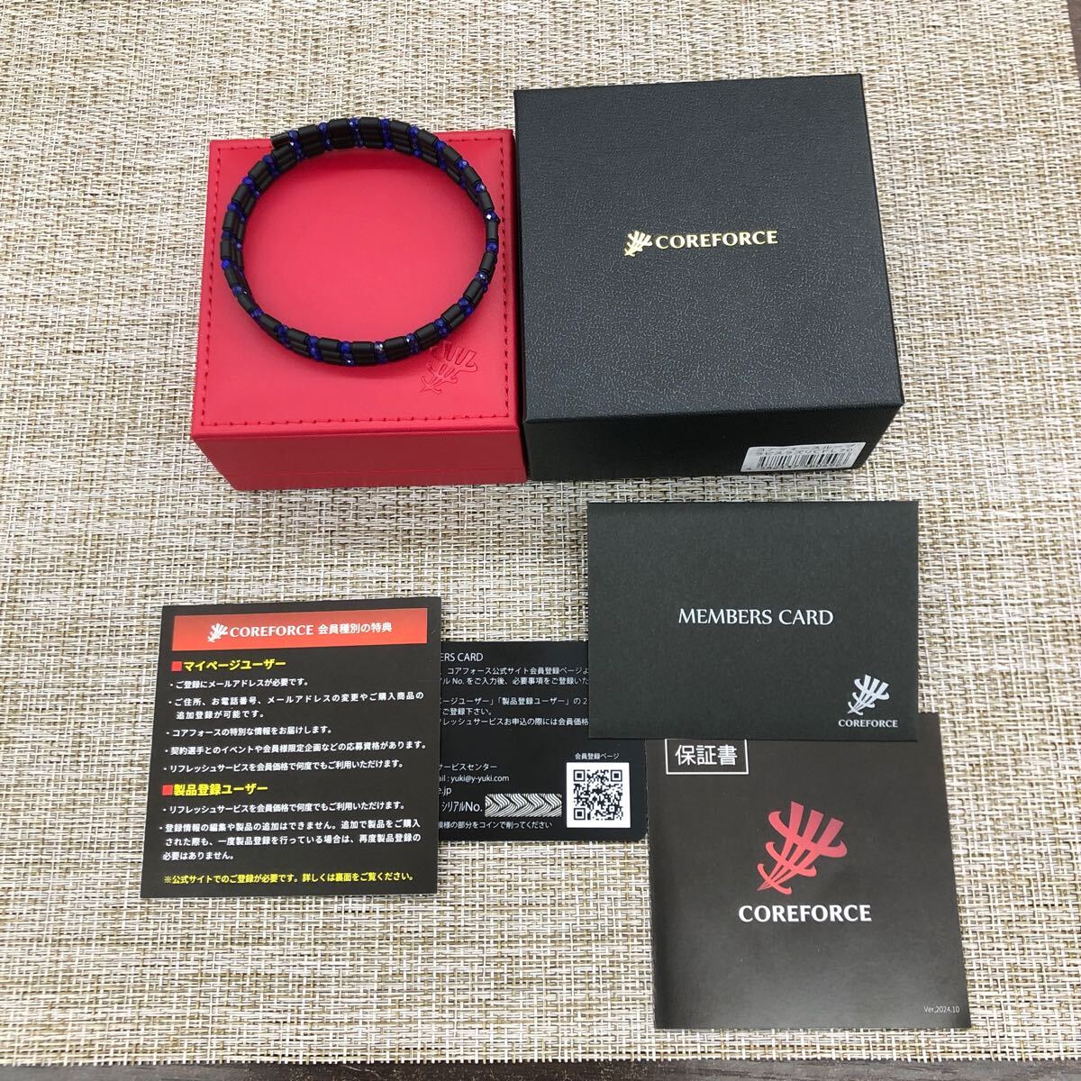 【未使用に近い】[ZEROnet] COREFORCE コアフォース COREFORCE LOOP SUS コアフォースループ サス CFL70 70cm ブラック 美品 ％H79-01の落札 ...