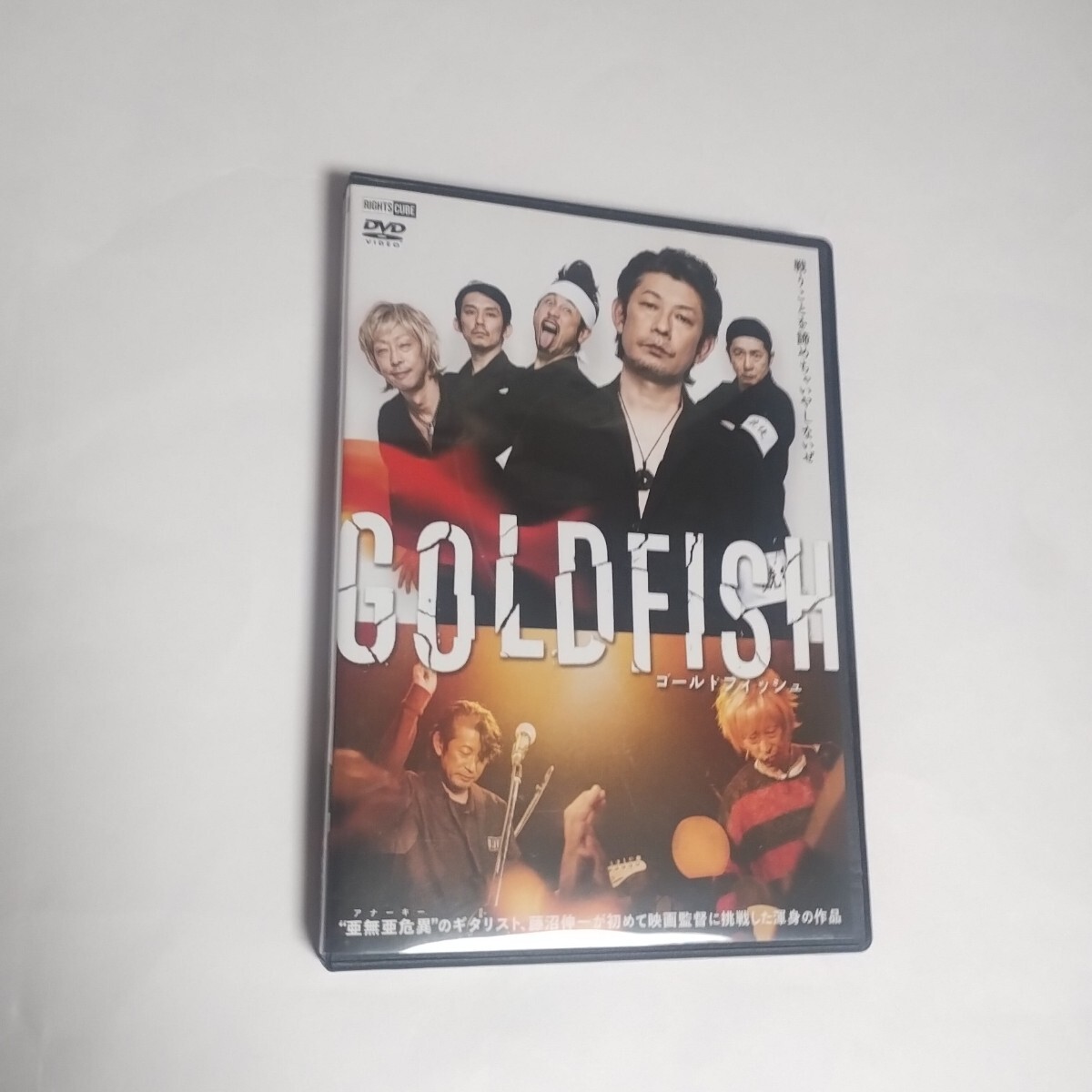 【やや傷や汚れあり】送料無料 GOLDFISH ゴールドフィッシュ DVD レンタル落ち 永瀬正敏 北村有起哉 【パンクバンド・亜無亜危異 ...